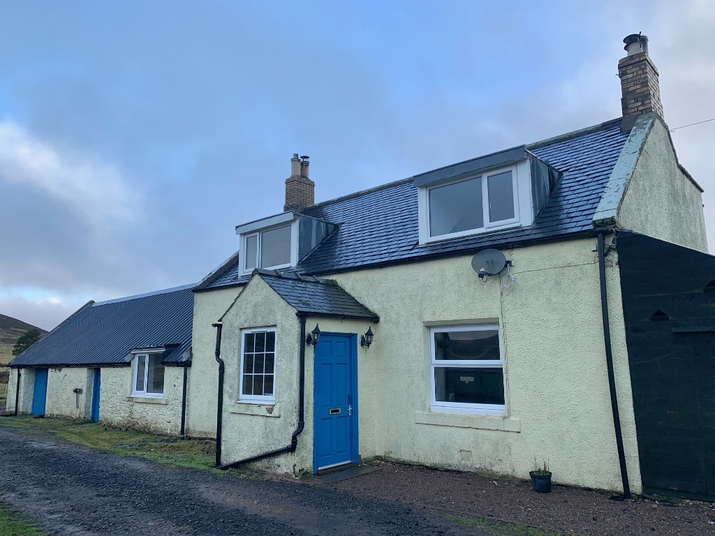 Longformacus - FBR Seed