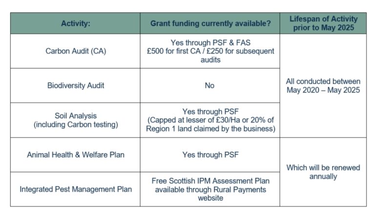 Scottish Government confirms BPS conditions for 2025 - FBR Seed