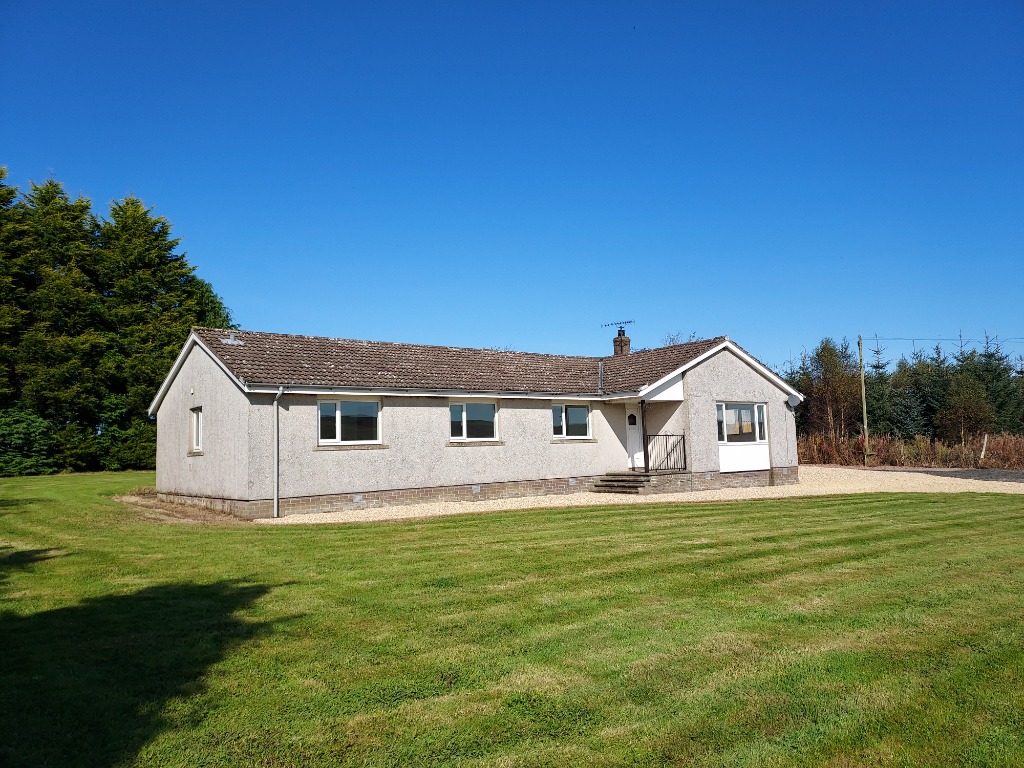 North Riccalton - FBR Seed