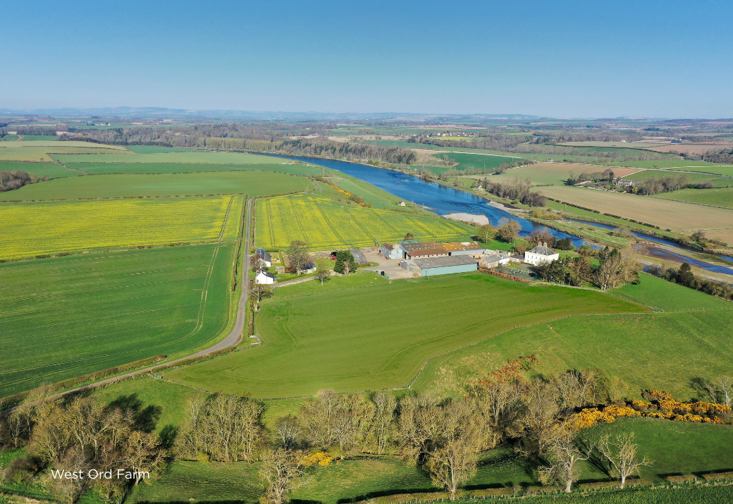 West Ord Farm - FBR Seed